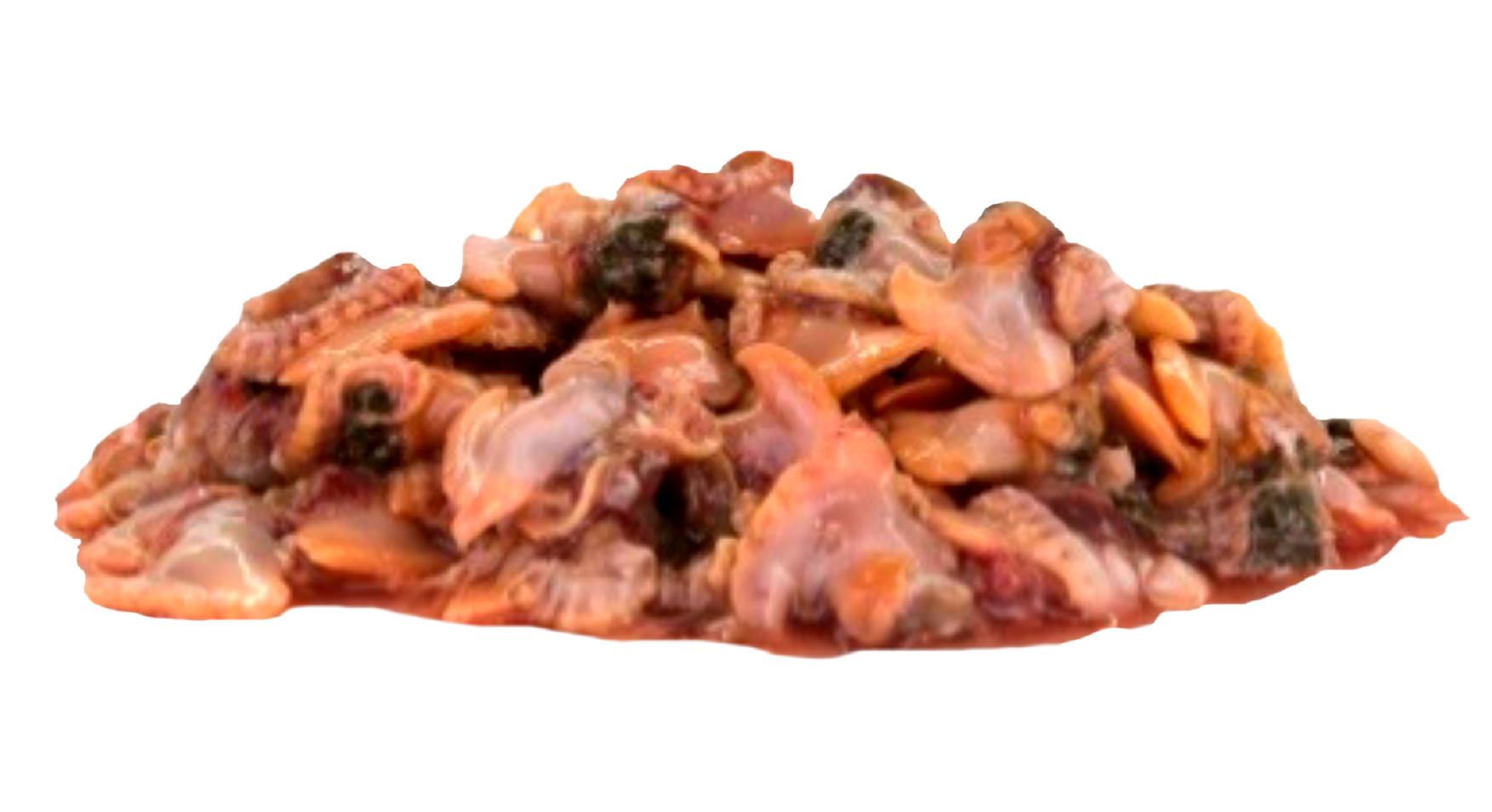 Scallop/Oyster/Mussel – GST Group