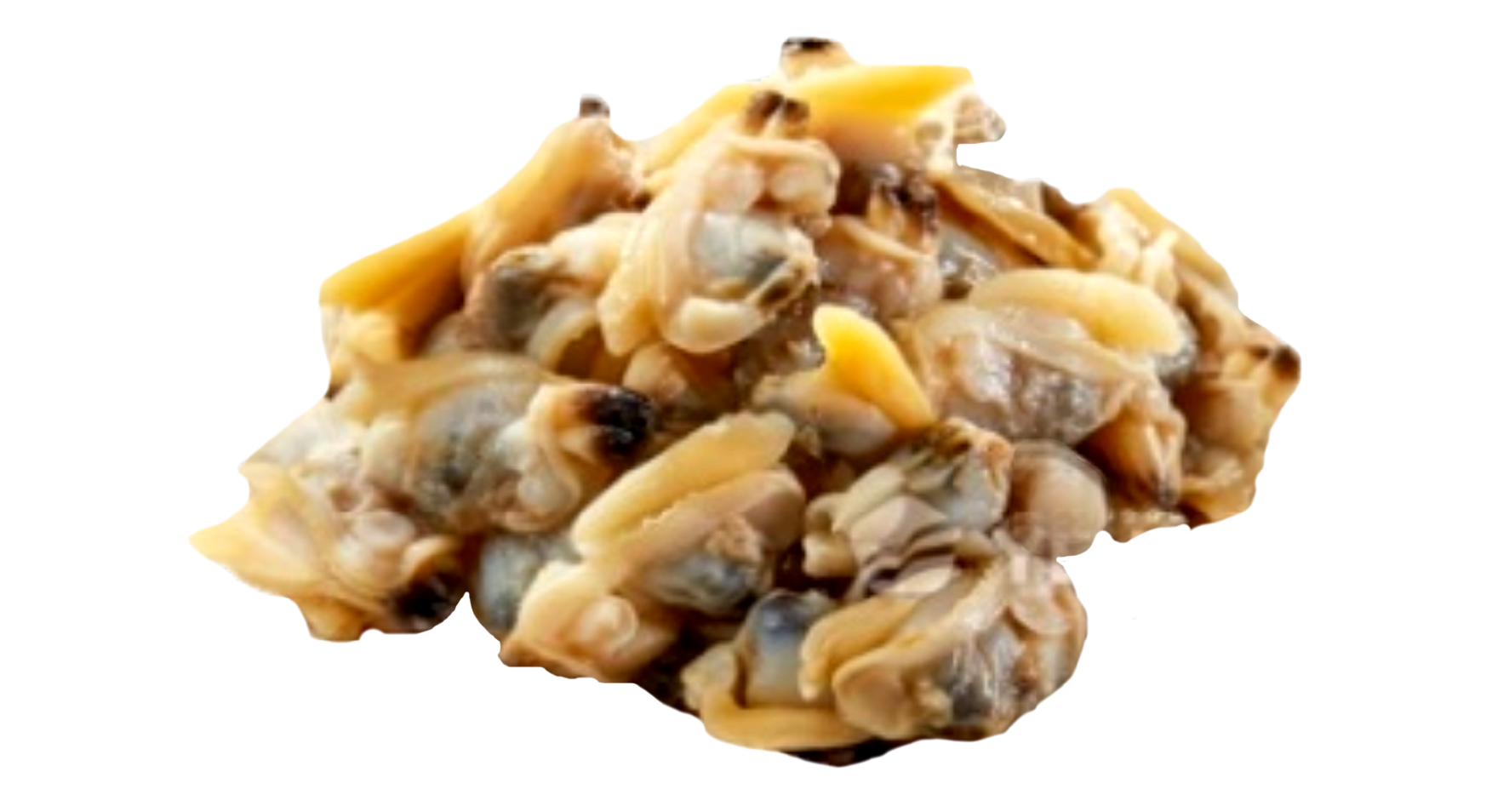 Scallop/Oyster/Mussel – GST Group